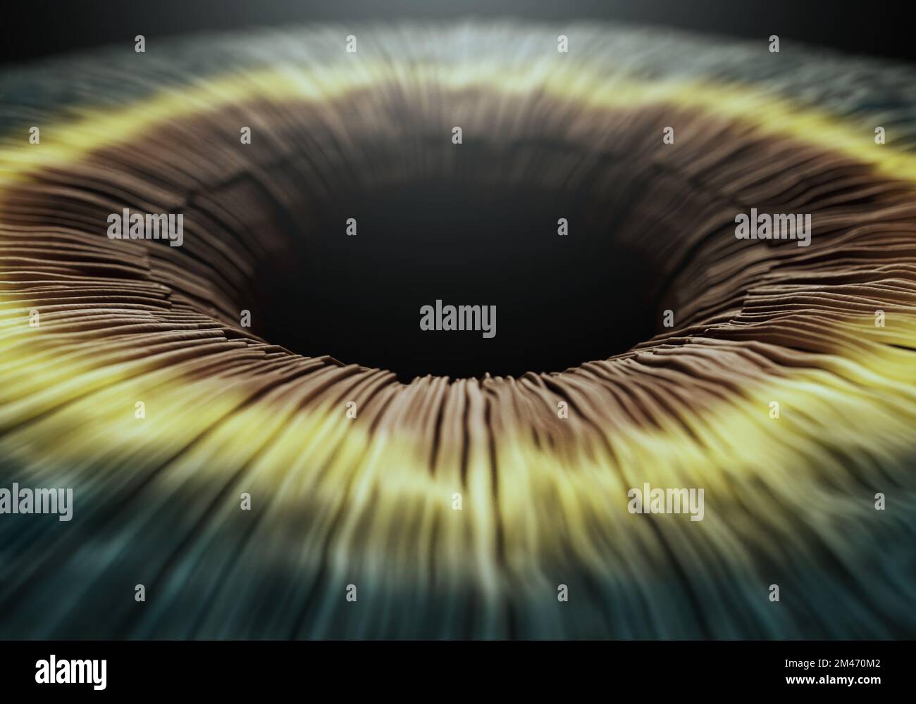A microscopic concept showing the detailed makeup of an eyes iris - 3D ...
