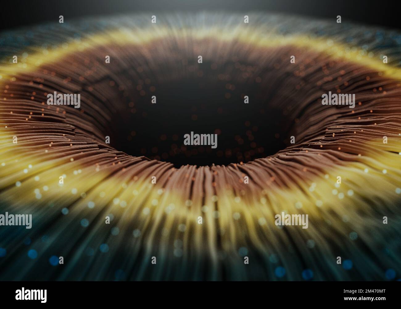A microscopic concept showing the detailed makeup of an eyes iris wiht ...