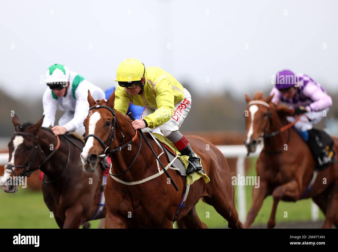 Franny norton 2022 hi-res stock photography and images - Alamy