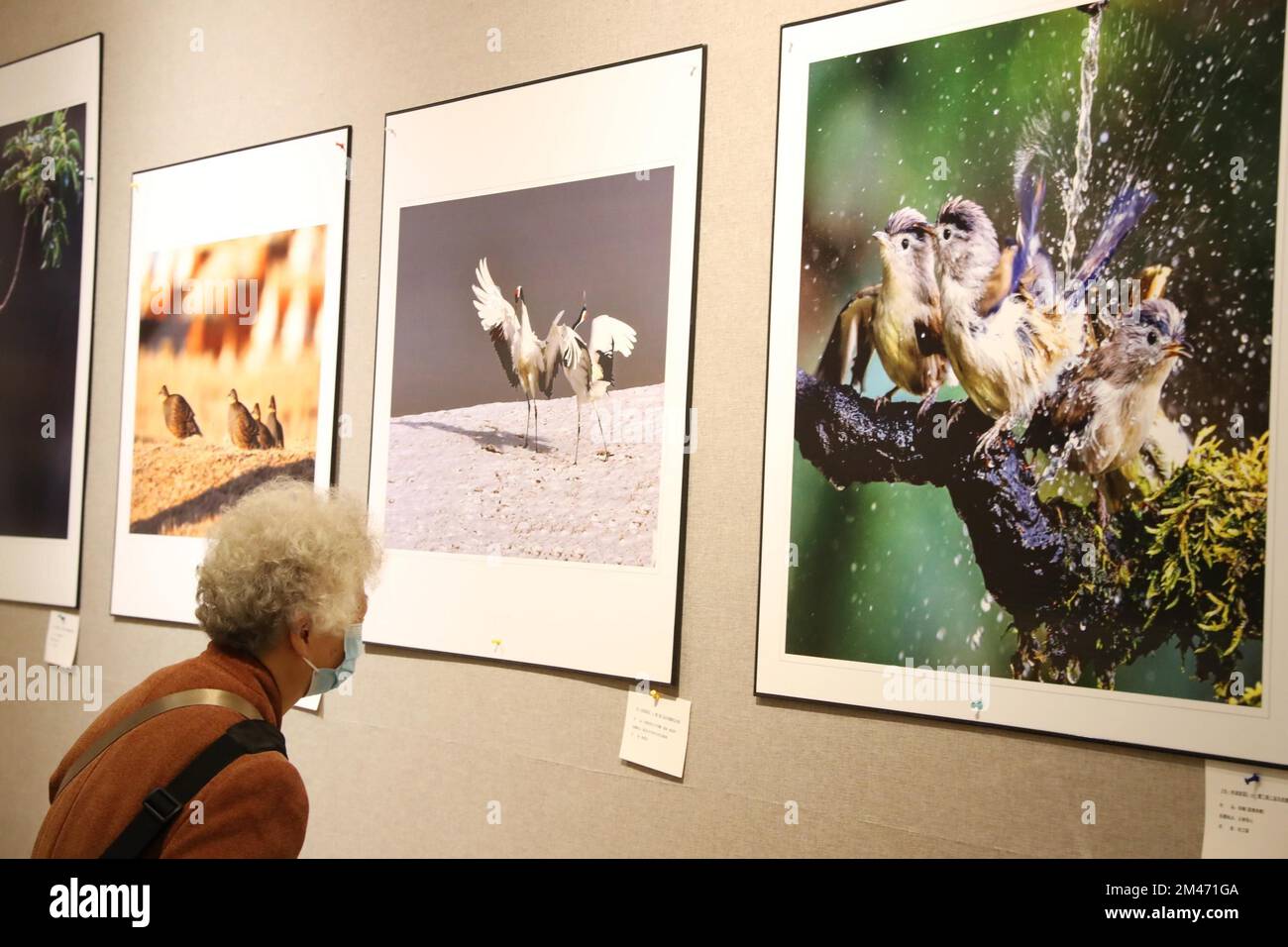 The 3rd Xiamen Bird Photography Art Exhibition was held in Xiamen Art ...
