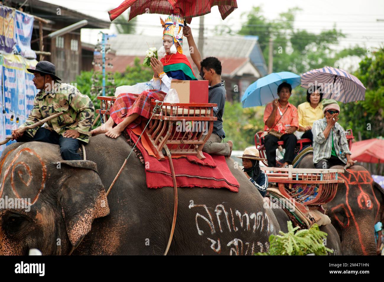 Ordination Parade on Elephants Back Festival is when elephants parade ...