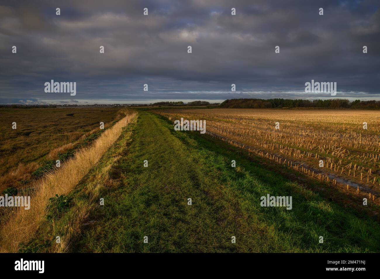 Wyre way hi-res stock photography and images - Alamy