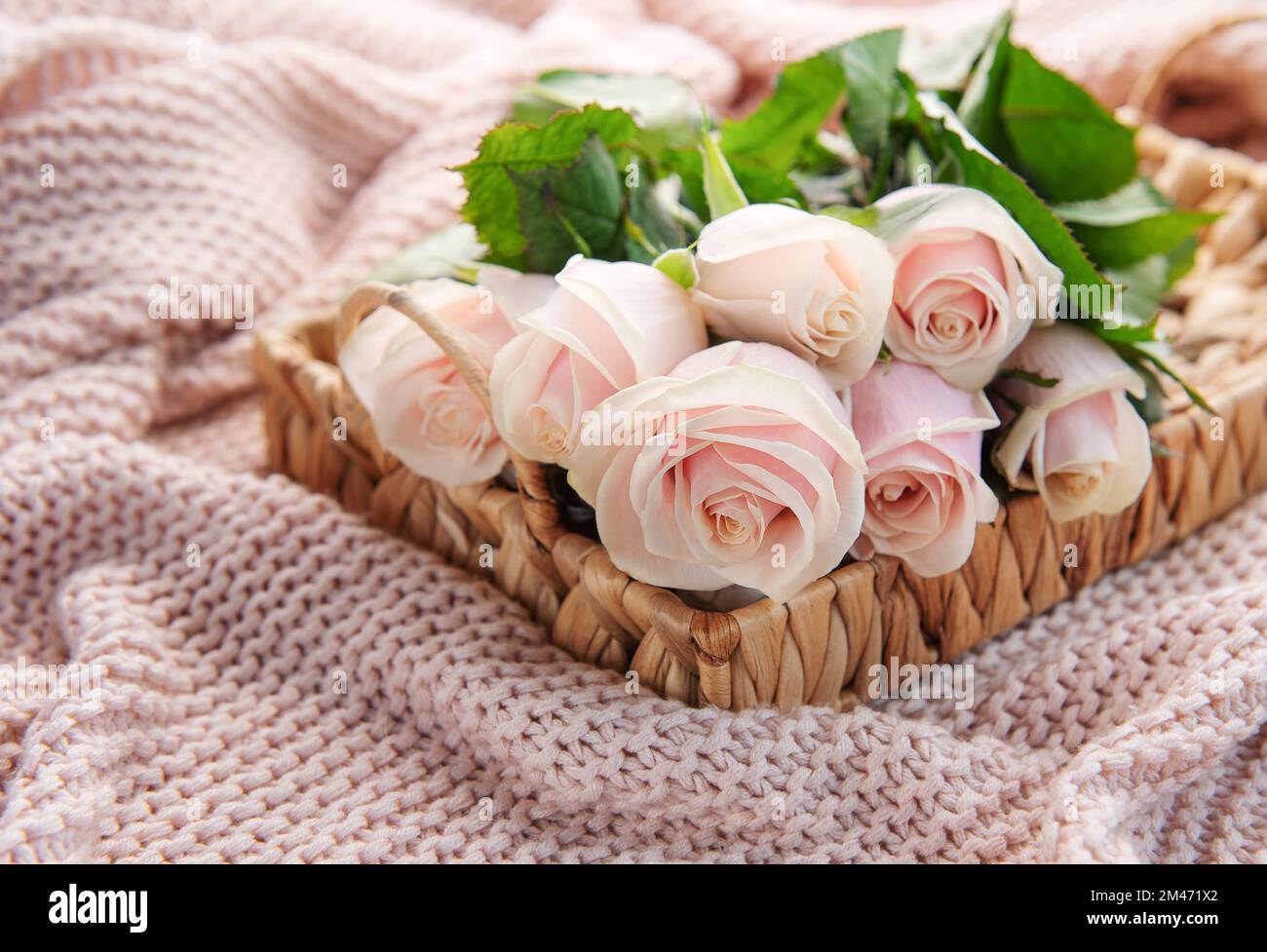 Tray with bouquet of beautiful pink roses and gift box on bed ...
