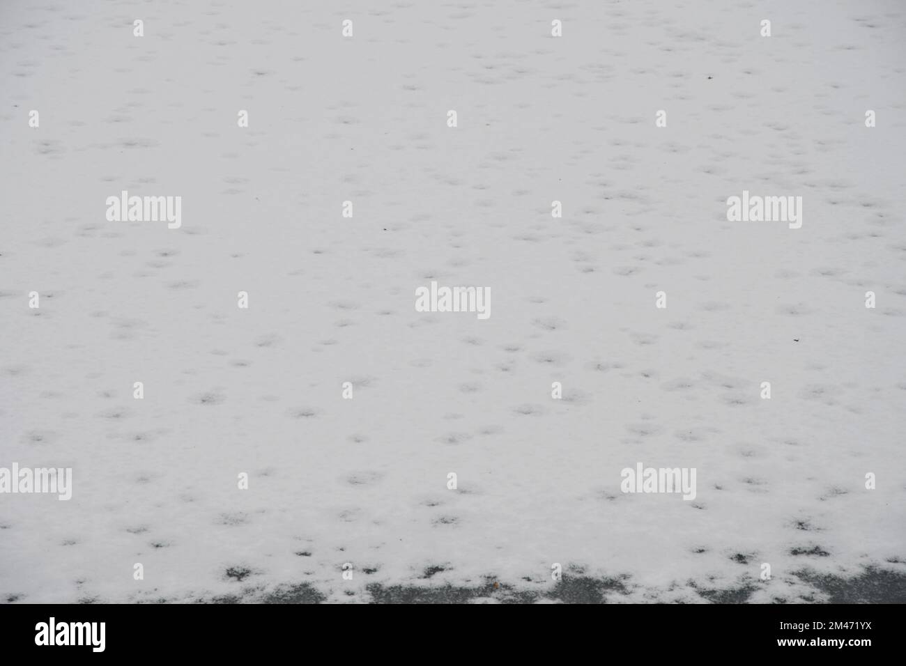 Copenhagen/Denmark/19 December 2022/Cold weather christianshavn lake is ...