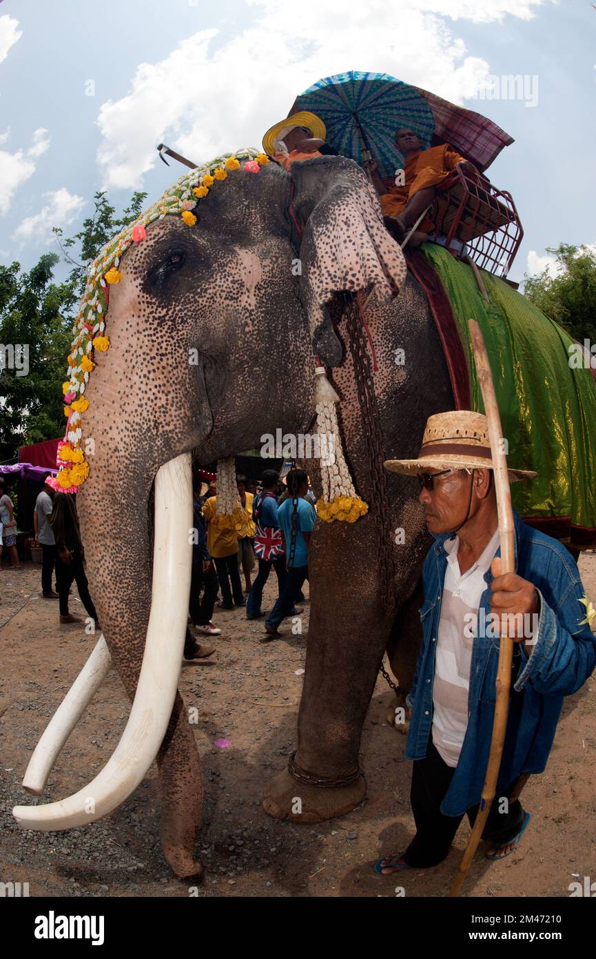 Ordination Parade on Elephants Back Festival is when elephants parade ...
