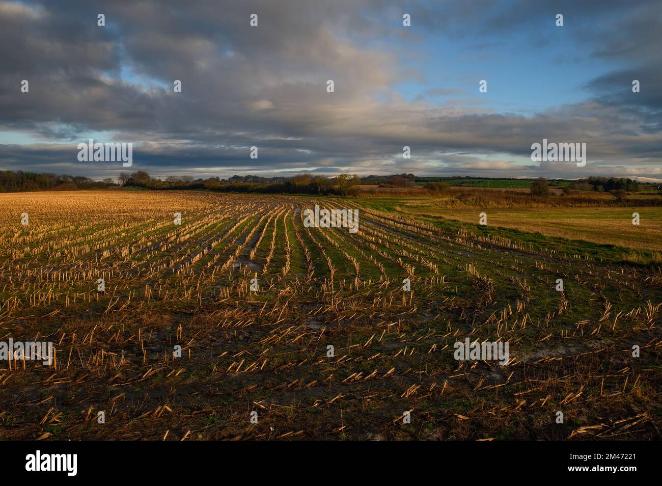 Wyre way hi-res stock photography and images - Alamy