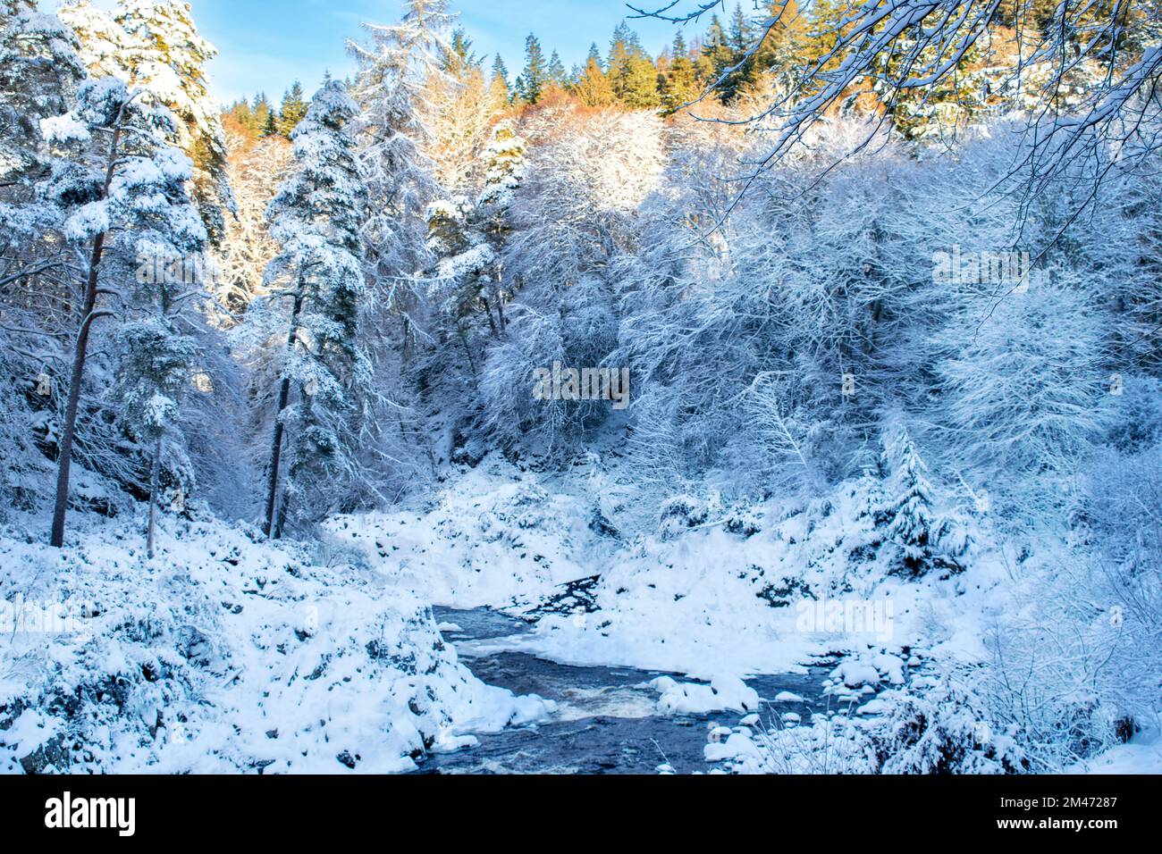 River Findhorn Moray Scotland covered with deep snow and the trees in ...