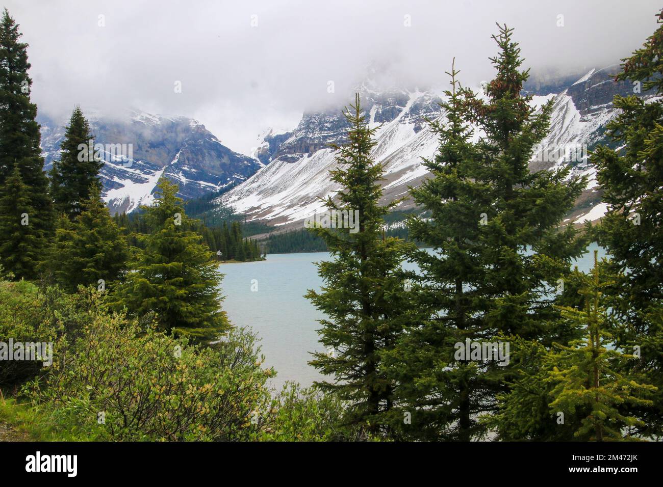 Yoho valley trail hi-res stock photography and images - Alamy