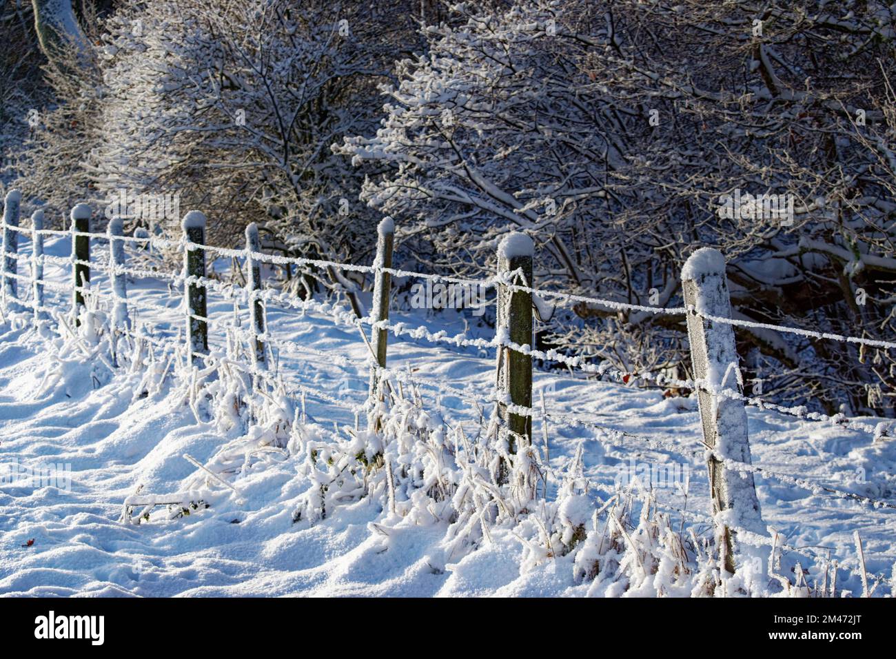 Concept snowscape hi-res stock photography and images - Alamy