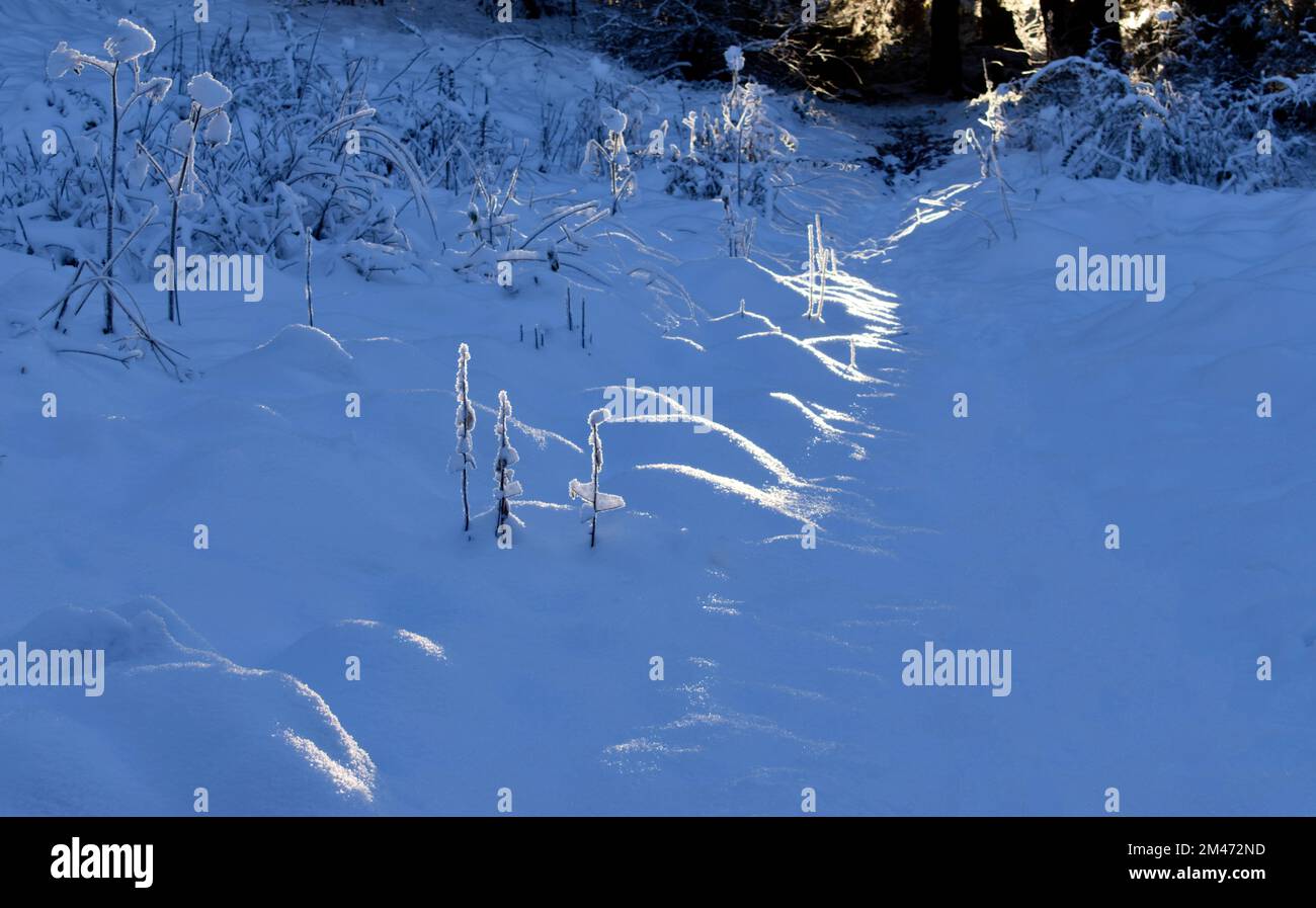 Covered footpath hi-res stock photography and images - Alamy