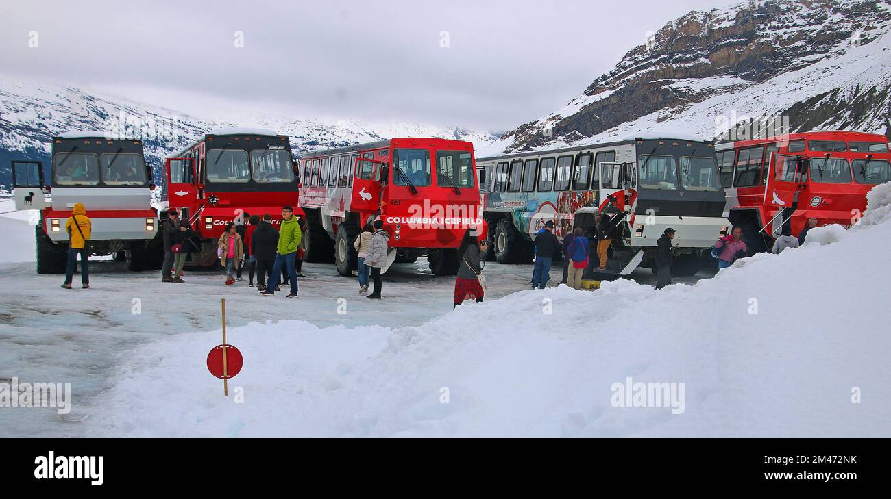 Ice explorer vehicle on Athabasca glacier from icefield parkway, Jasper national park, Alberta ...