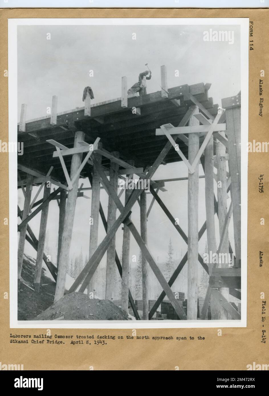 Sikanni Chief River Bridge. Original caption: Laborers nailing Osmosor ...