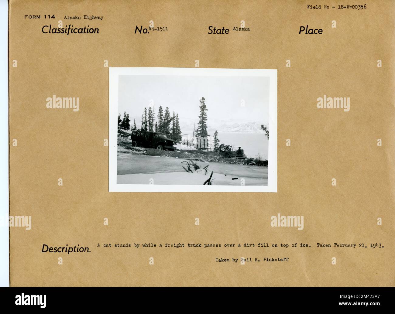 Dirt Fills over Ice. Original caption: A cat stands by while a freight ...