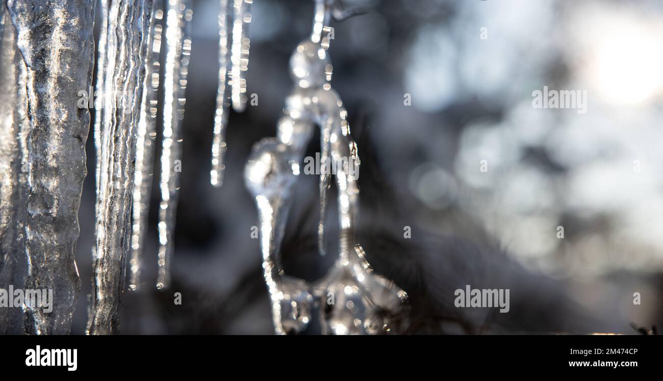 Water drop snow melting spring hi-res stock photography and images - Alamy