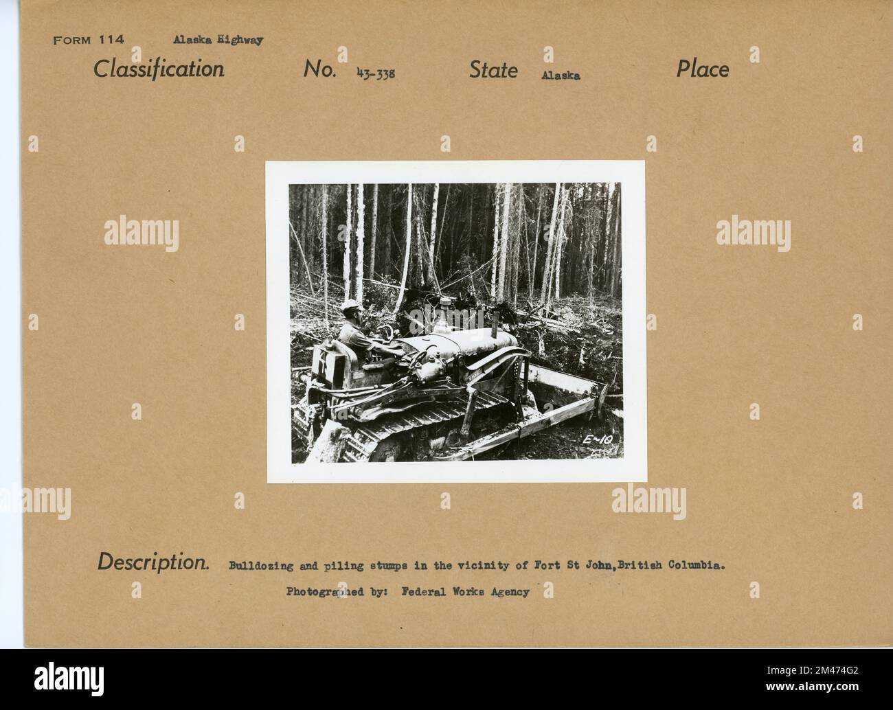 Bulldozing and piling stumps. Original caption: Bulldozing and piling ...