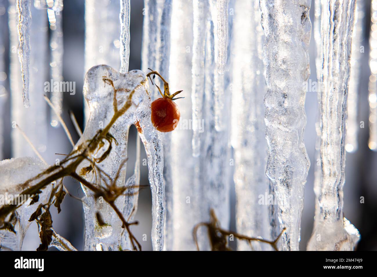 Snow drop background hi-res stock photography and images - Alamy
