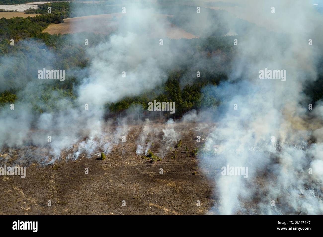 Rising ecosystem temperature hi-res stock photography and images - Alamy