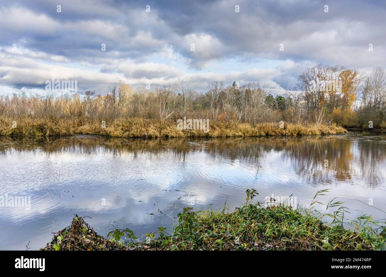 Water inlet at the Washington Park Arboretum in Seattle, Washington ...