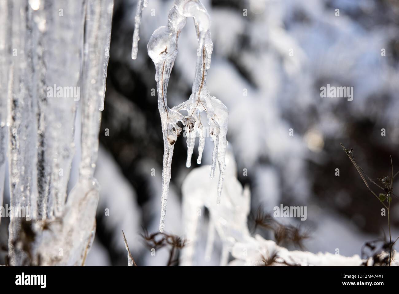 Snow drop background hi-res stock photography and images - Alamy