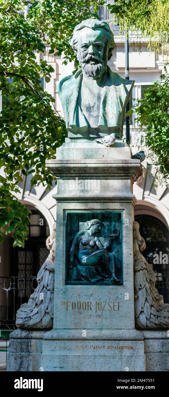 Statue of Josef von Fodor [Fodor József] (16 July 1843 – 19 March 1901 ...