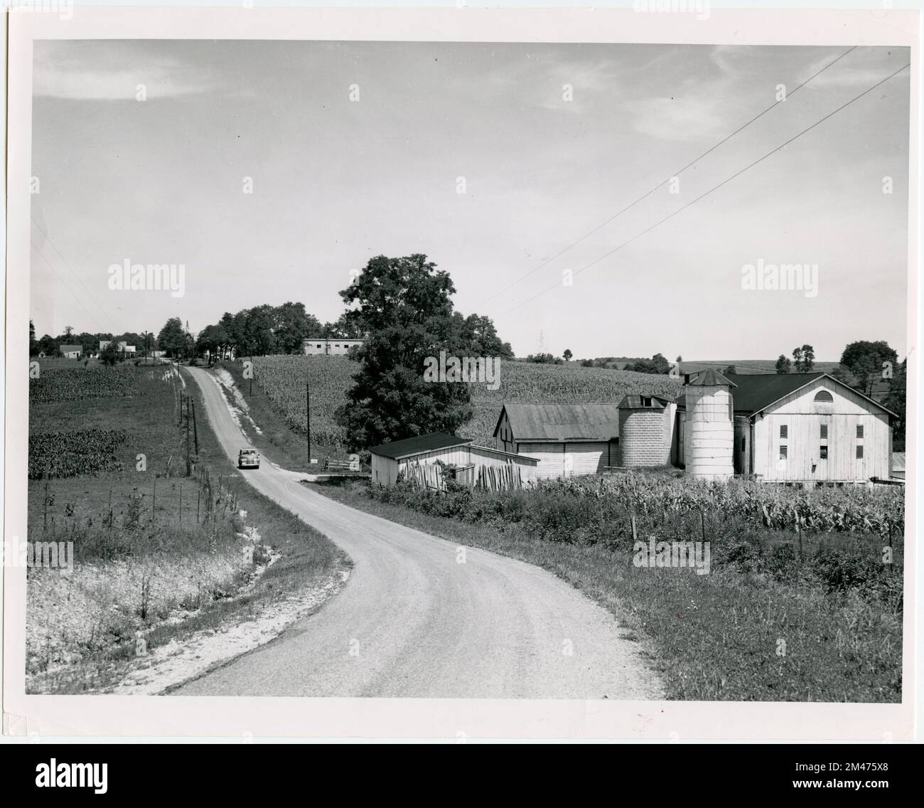 Boyer Mill Road. Original caption: Secondary bituminous road known as ...