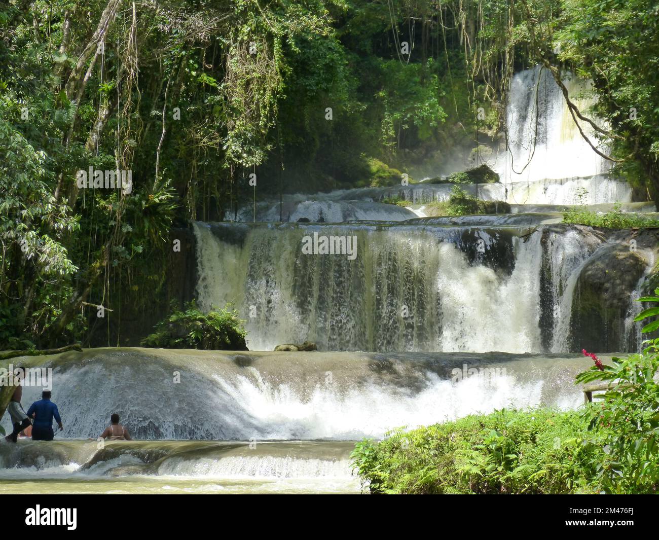 YS Falls Jamaica Stock Photo - Alamy