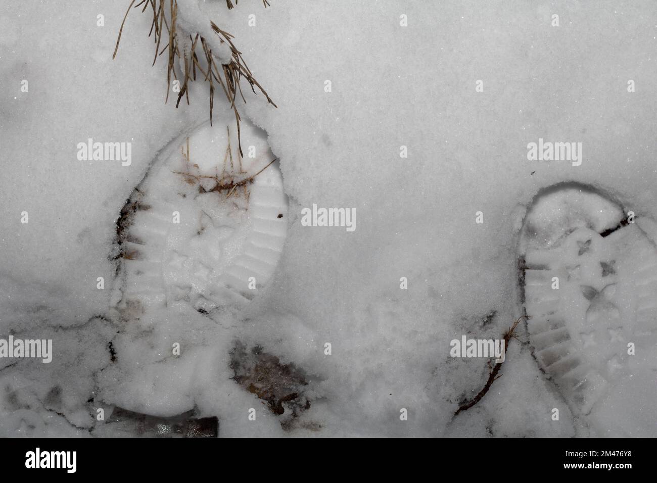 photo in the snow with shoe marks in the woods Stock Photo - Alamy