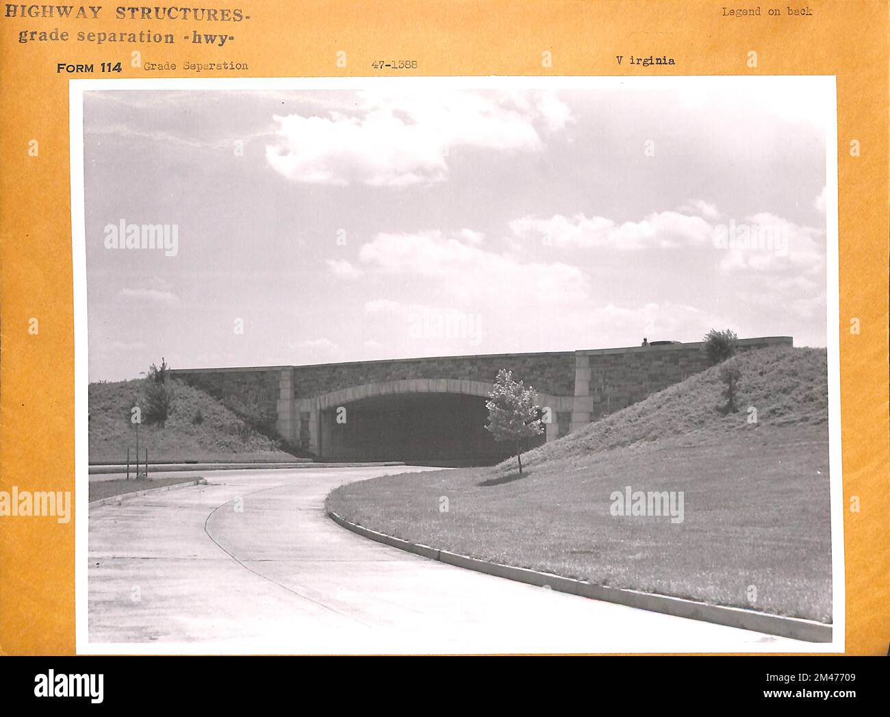 Tree and vine planting at underpass beneath Henry G. Shirley Memorial ...