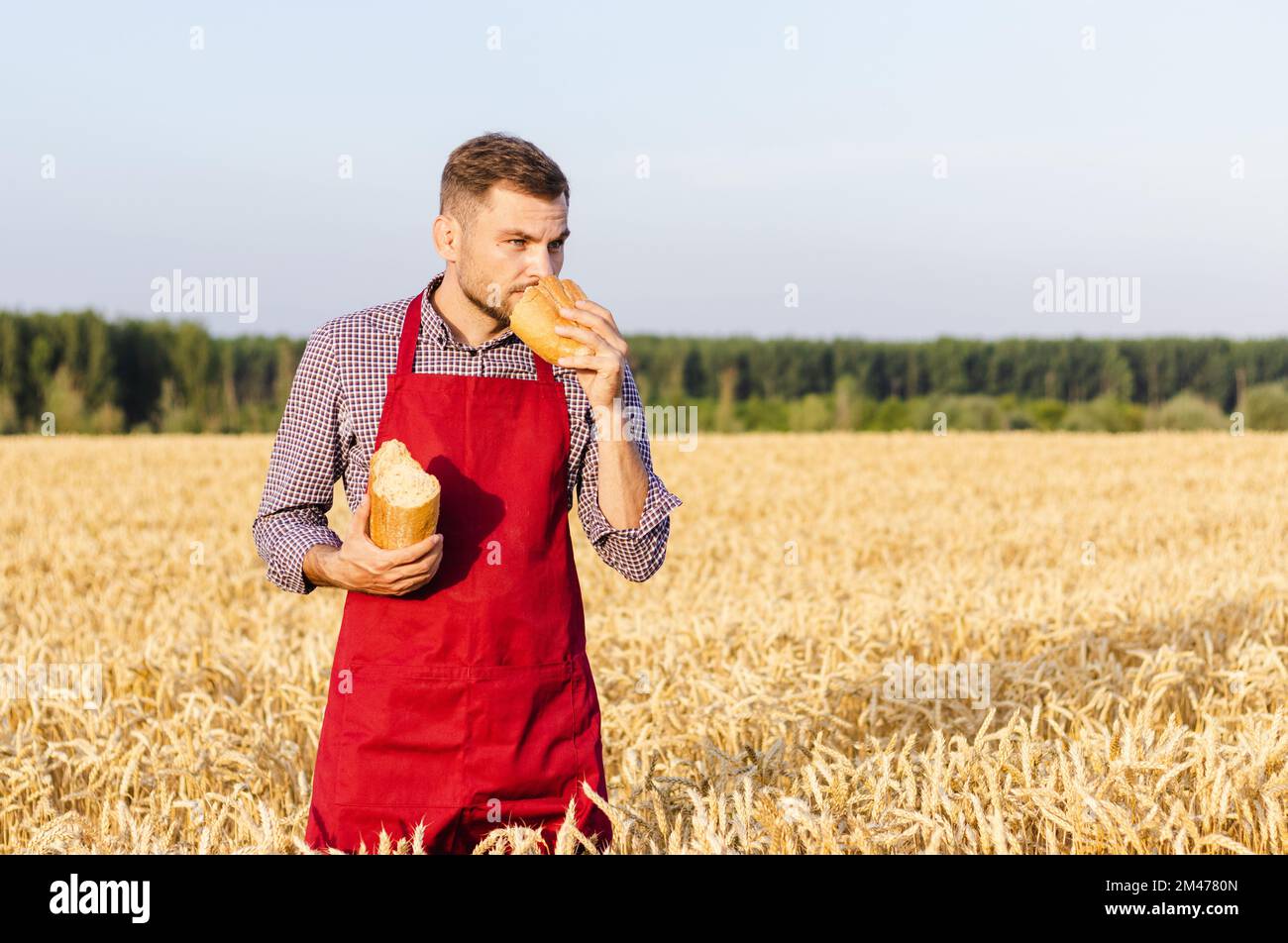 Man in apron standing in wheat field and smelling fresh bread Stock ...