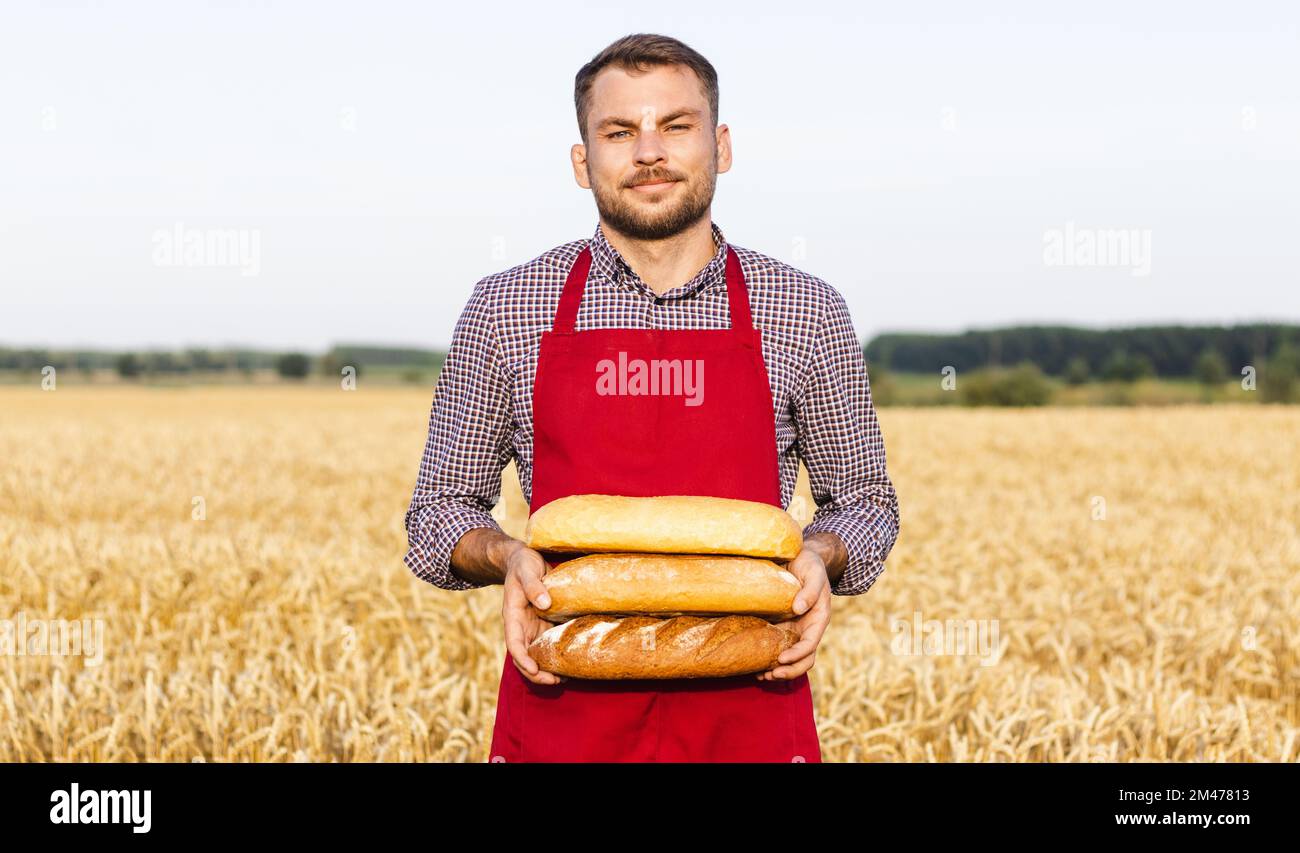 Bearded wheat field hi-res stock photography and images - Alamy