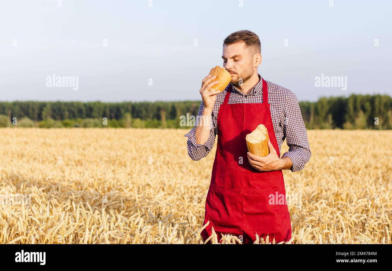 Man in apron standing in wheat field and smelling fresh bread Stock ...