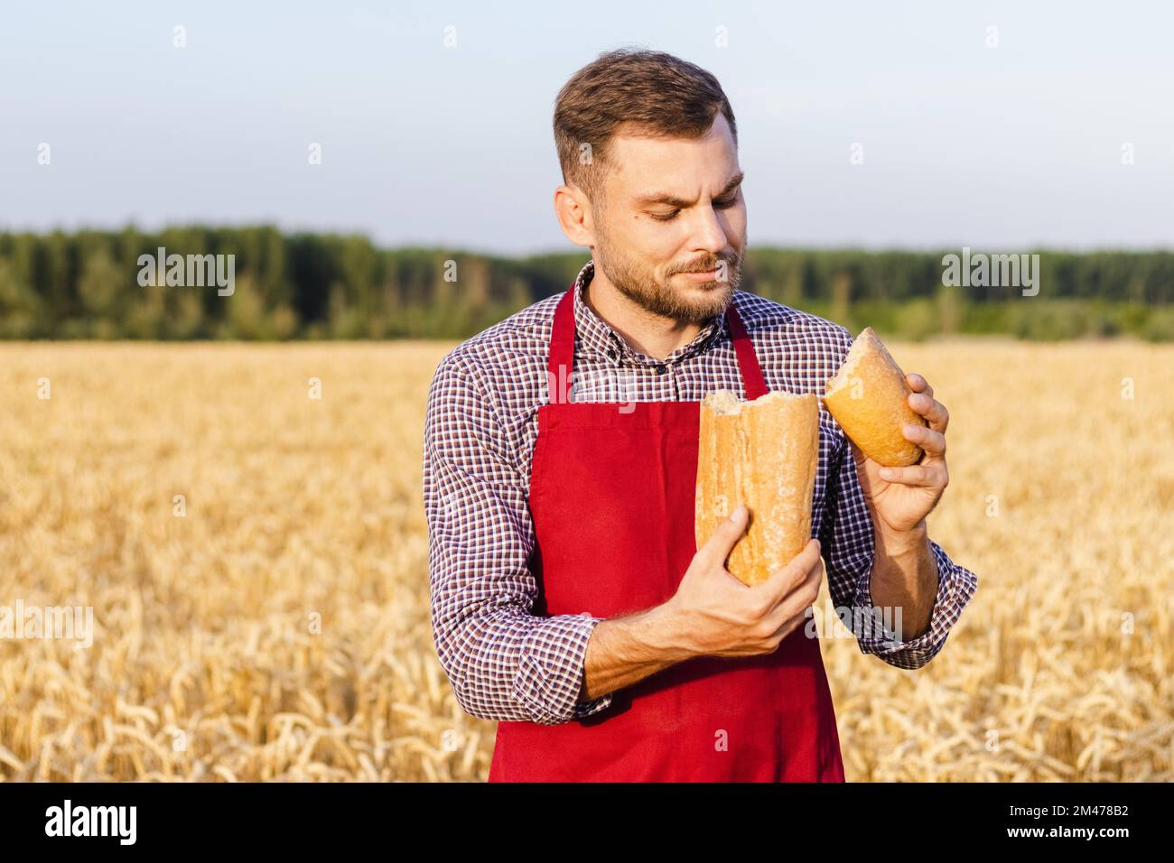 Young adult man farmer baker checking the quality of bread and smiling ...