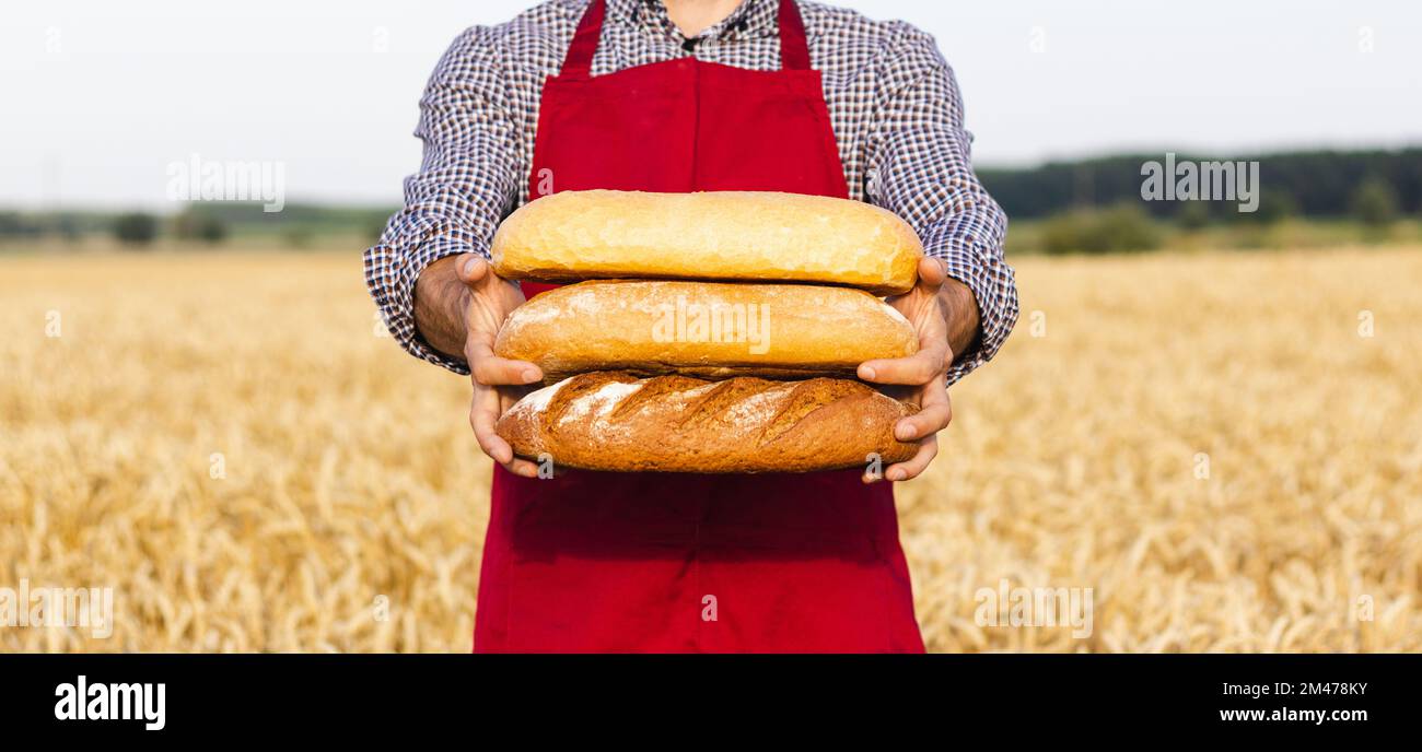 Bread in the hands of the baker, farmer man holding loaves of homemade ...
