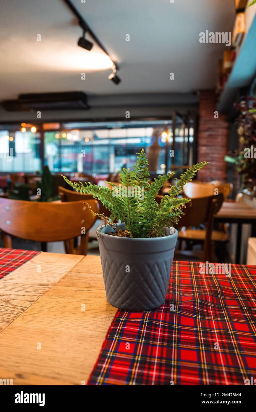 Nice and empty coffee shop Stock Photo - Alamy