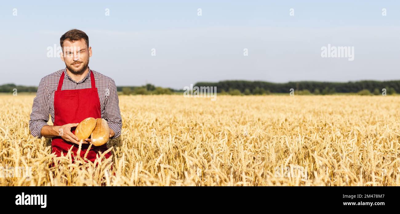 Baker wearing red apron standing in a wheat field and holding bread in ...