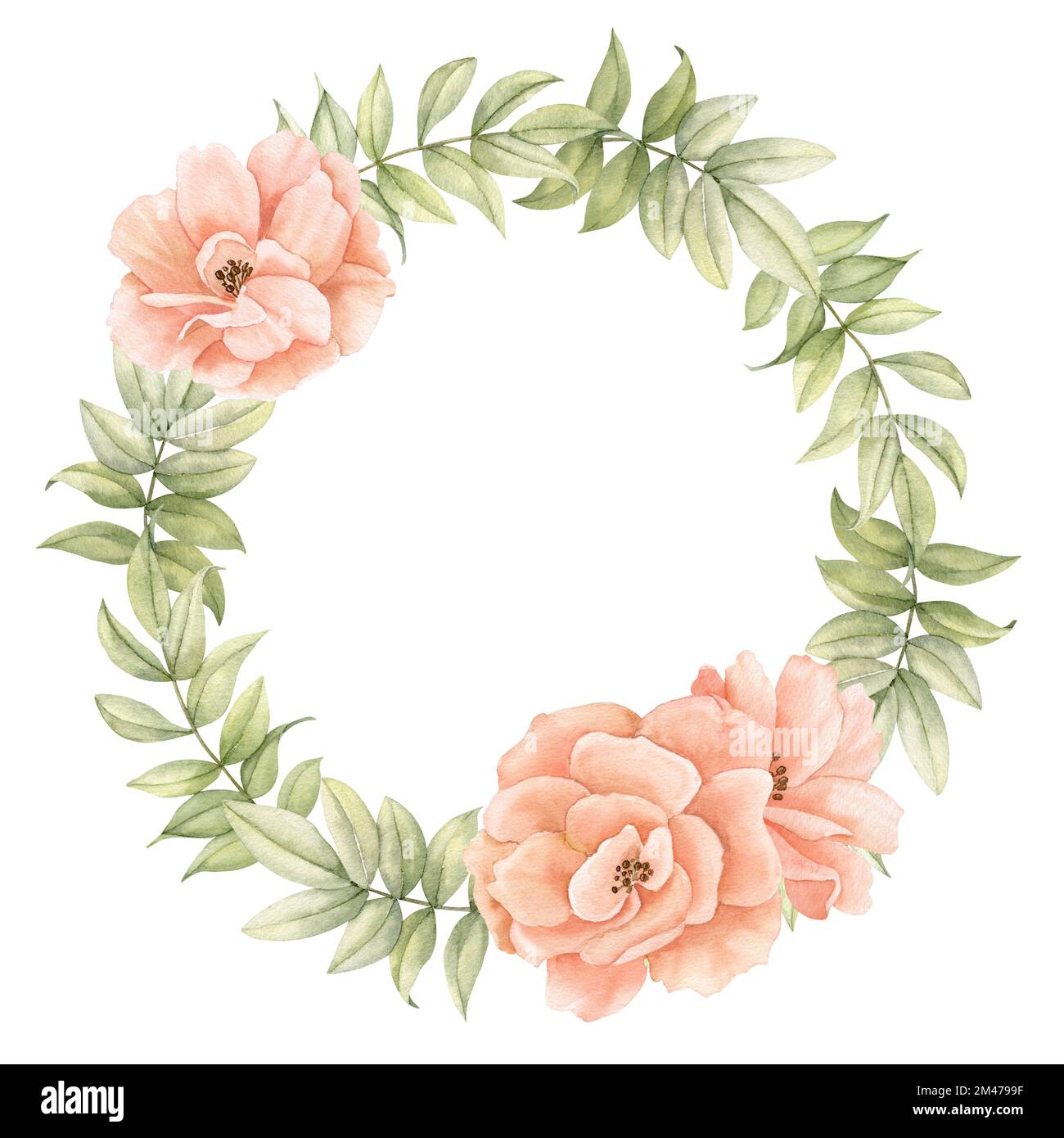 Floral Wreath Png