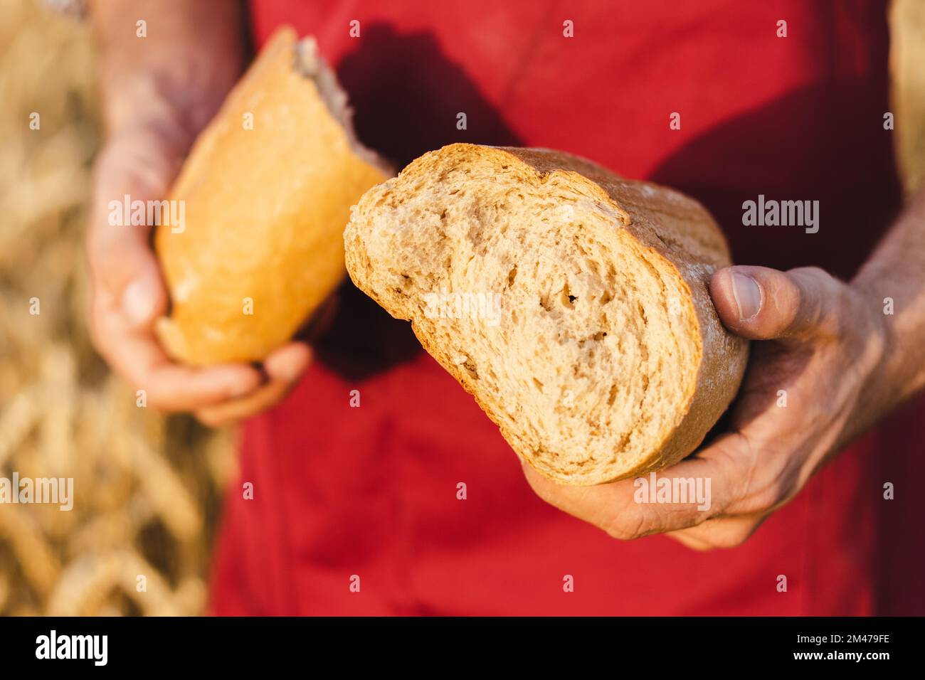 Male farmer wheat hands hi-res stock photography and images - Alamy