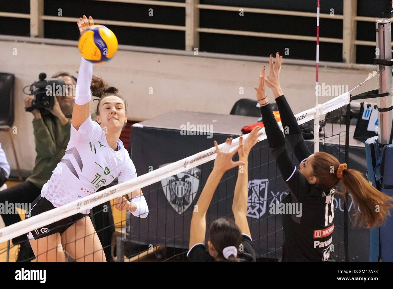 Volleyball players of PAOK Thessaloniki and KP Brno (at left is ...