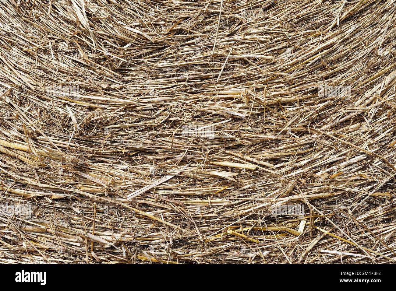 texture of Hay Roll,Rhineland,Germany Stock Photo - Alamy