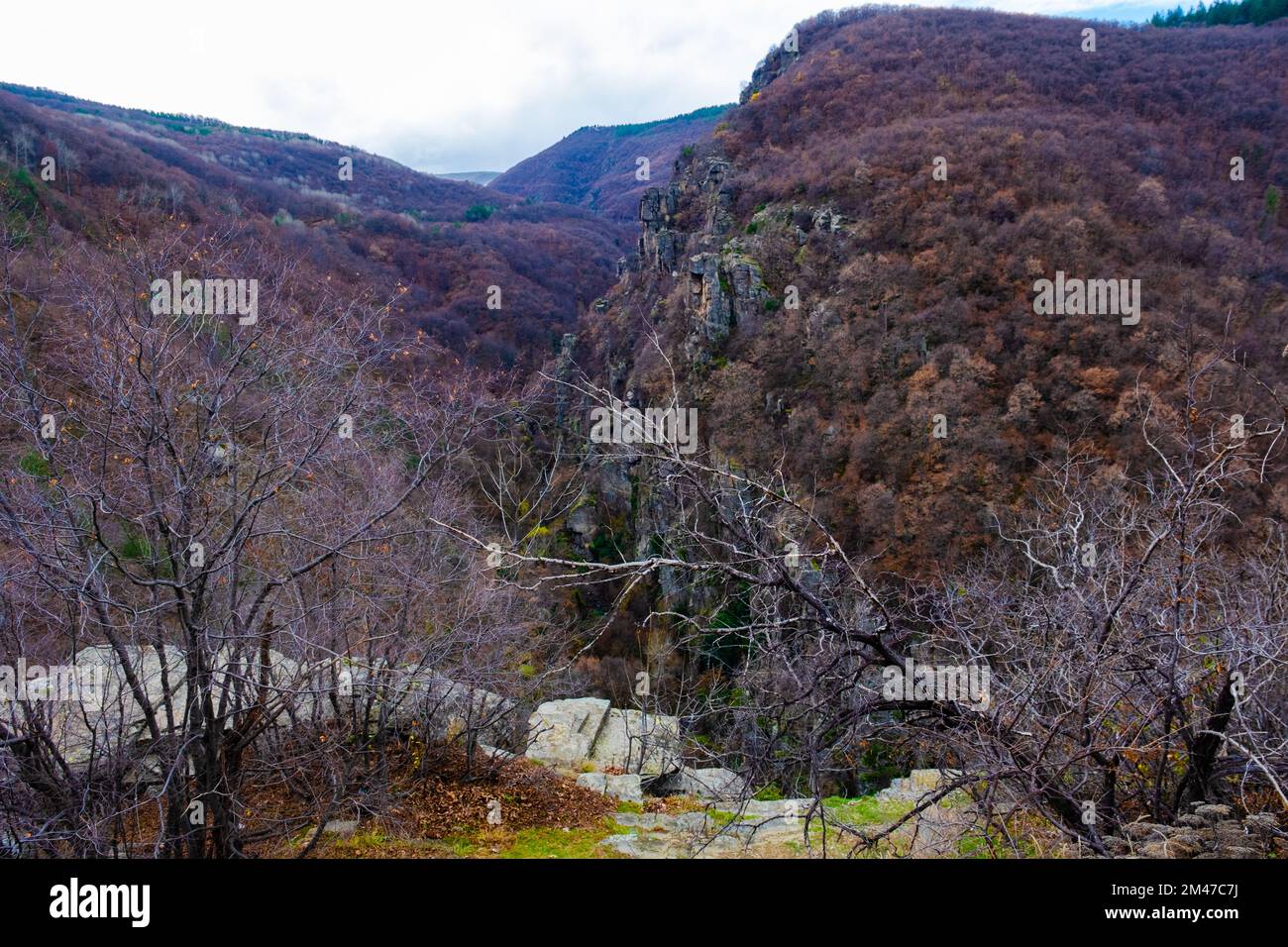 Amazing view of Magnificent autumn carpet in The Rhodope mountains ...