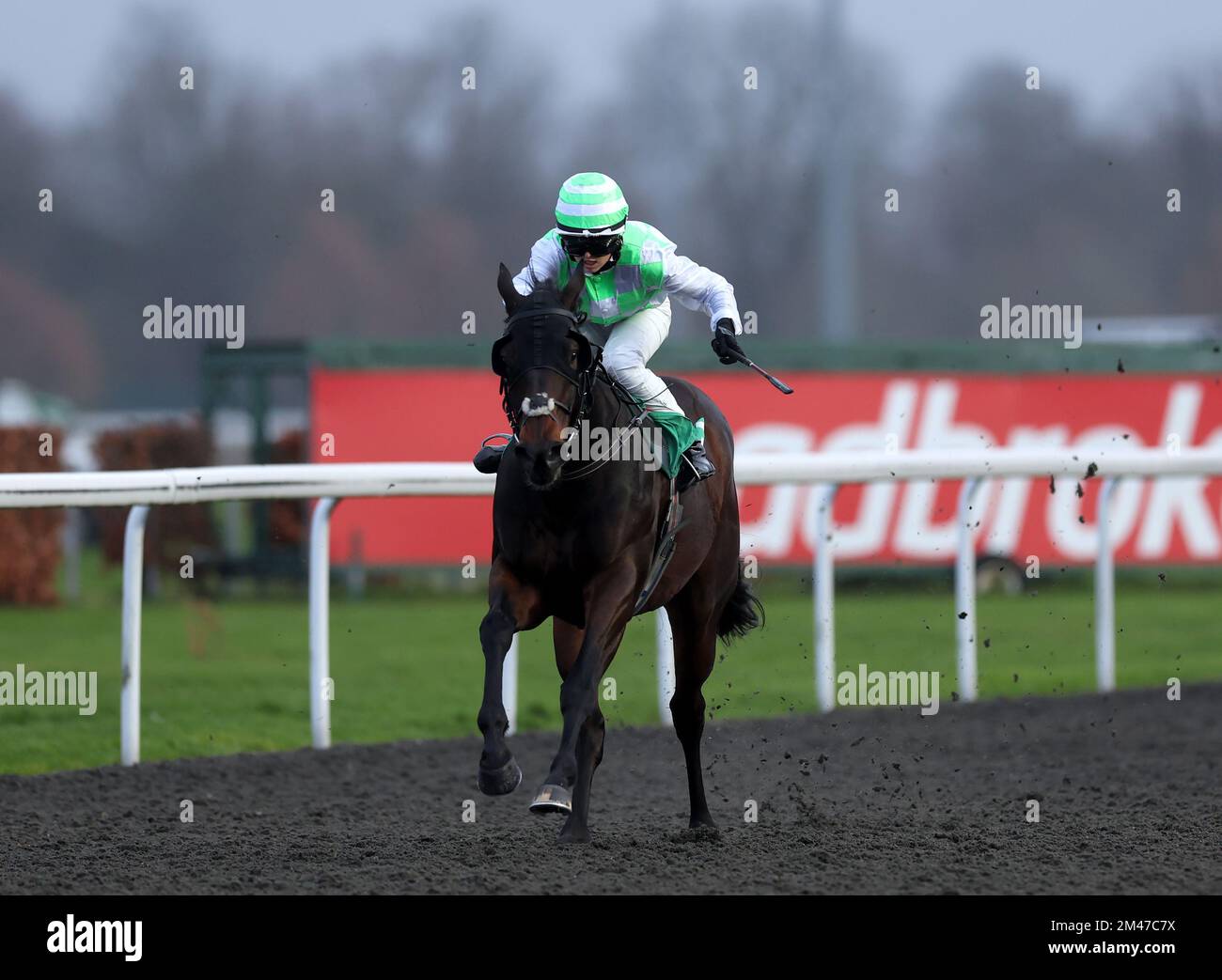 Grace mcentee hi-res stock photography and images - Alamy