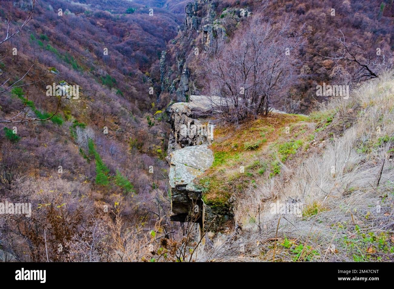 Amazing view of Magnificent autumn carpet in The Rhodope mountains ...