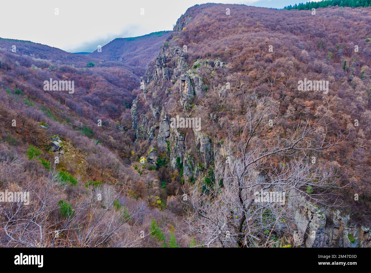 Amazing view of Magnificent autumn carpet in The Rhodope mountains ...