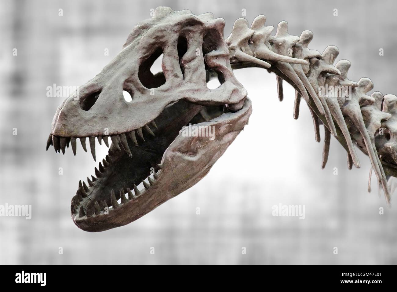 Realistic t rex hi-res stock photography and images - Alamy