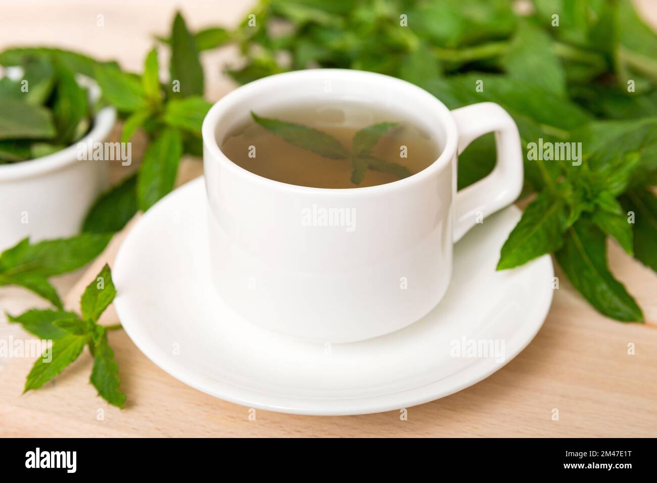 Cup of mint tea on table background. Green tea with fresh mint top view ...