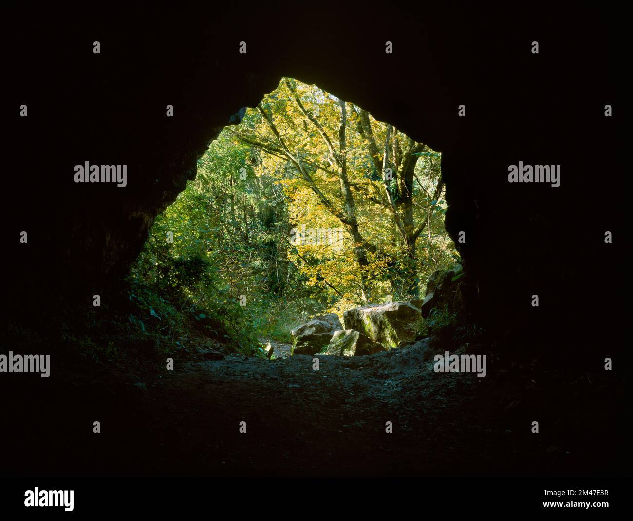 Cathole Cave, The Gower, Wales. Looking out through natural entrance of ...