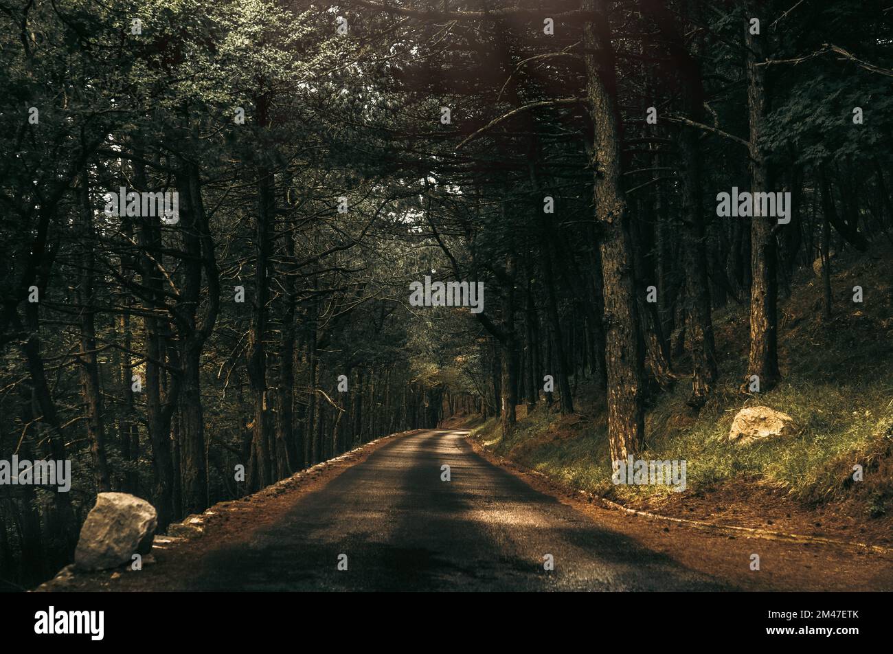 The long trail hi-res stock photography and images - Alamy