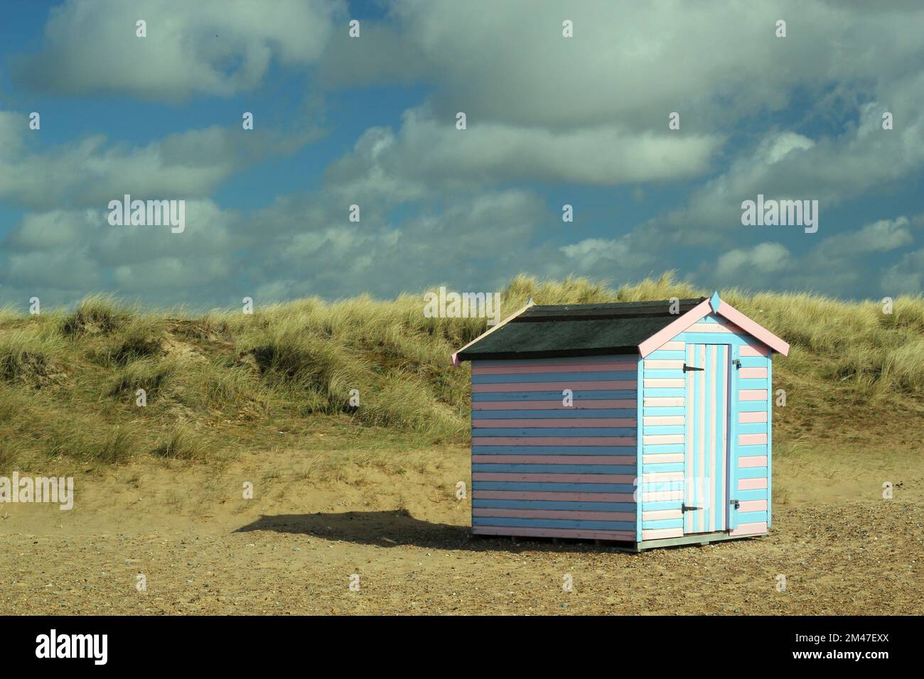 Single beach hut on a sandy beach with sand dunes Stock Photo - Alamy