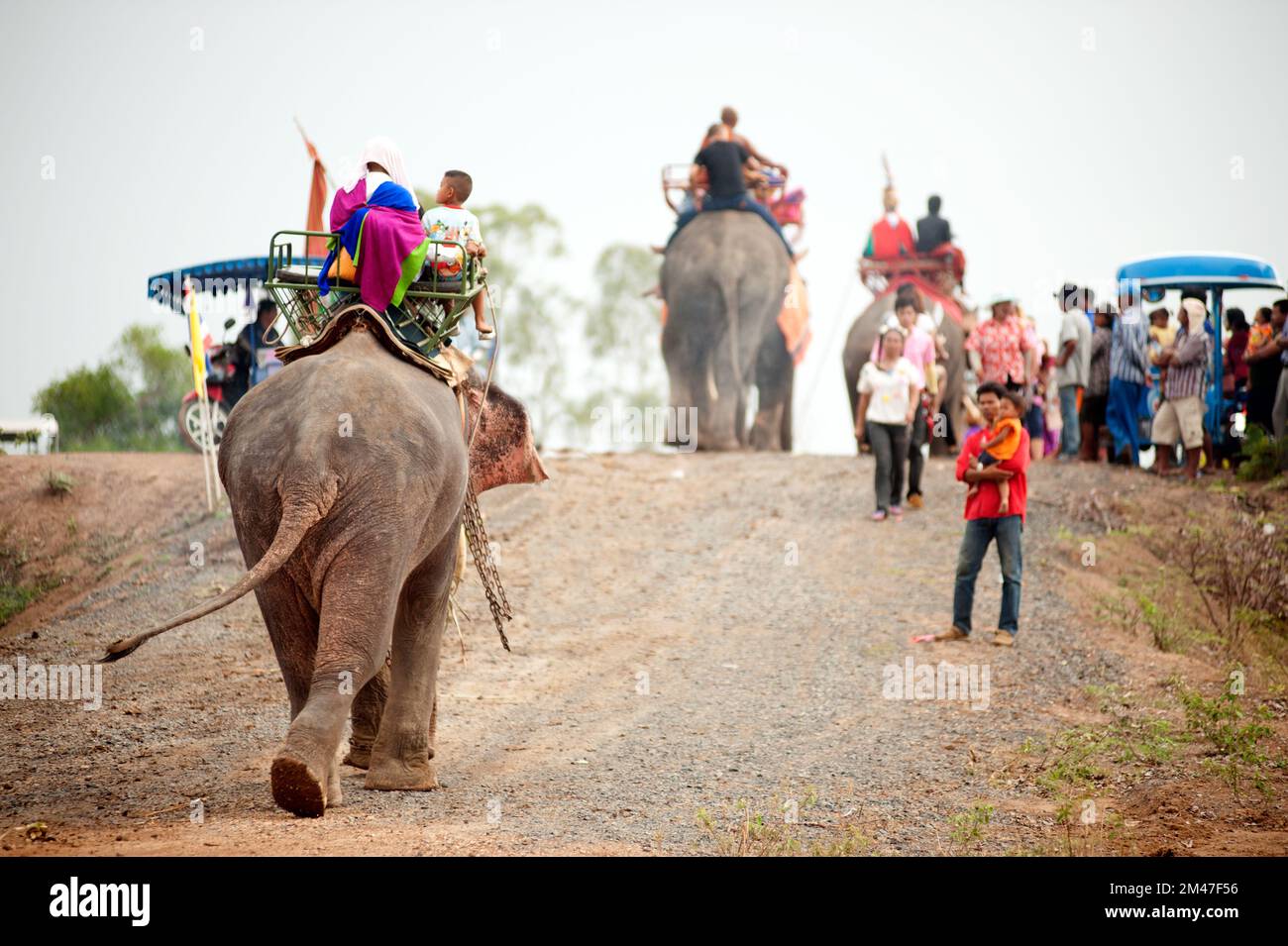 Ordination Parade on Elephants Back Festival is when elephants parade ...