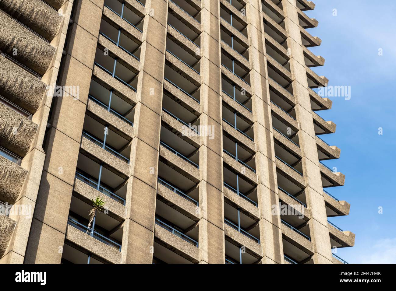 A lone palm tree on a balcony of Shakespeare Tower, one of the three 42 ...